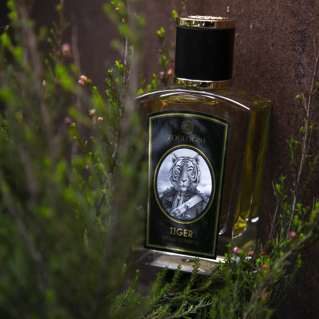 New in: Tiger by Zoologist | Bloom Perfumery London